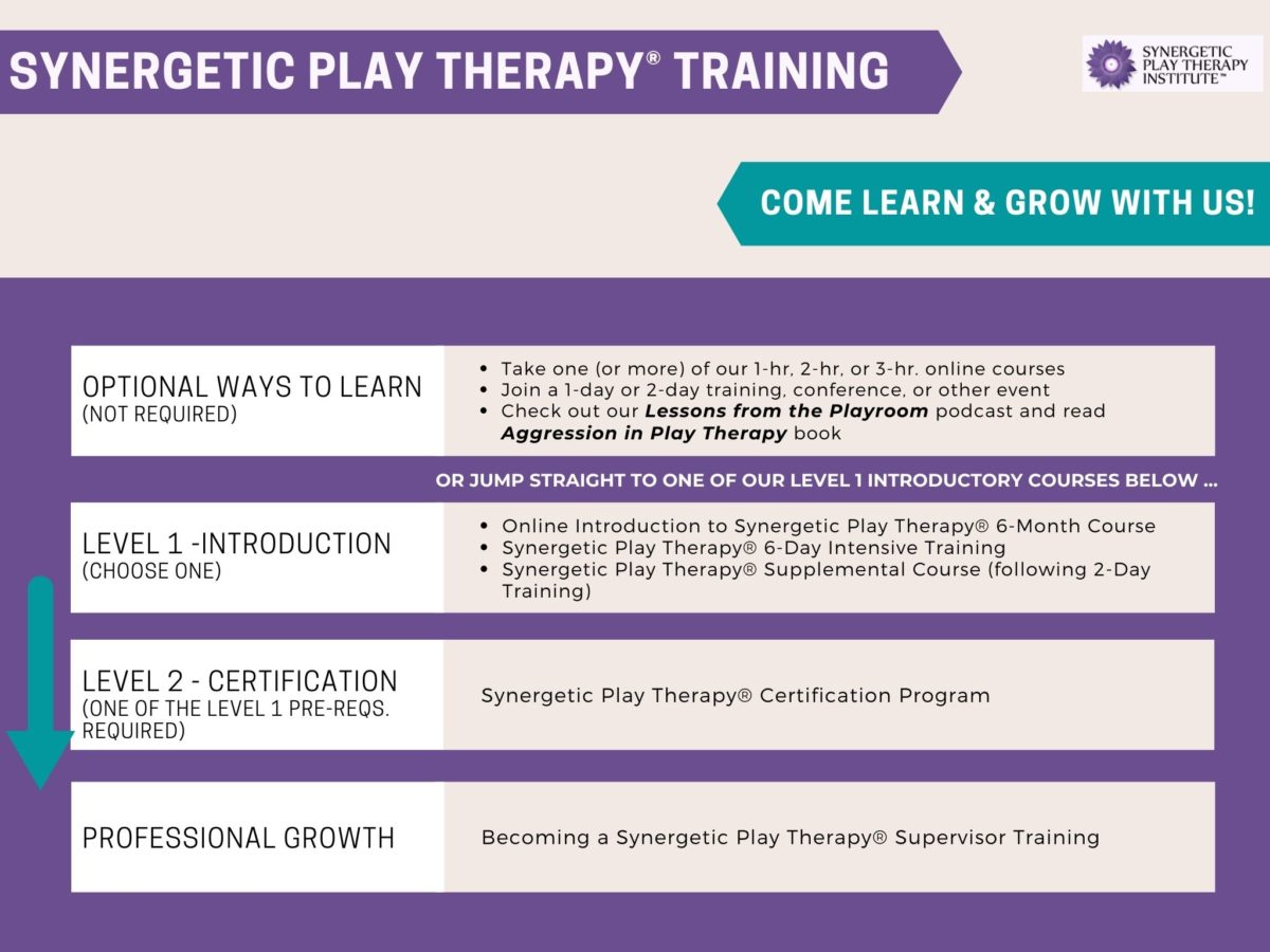 Organizational Progression - Synergetic Play Therapy Institute