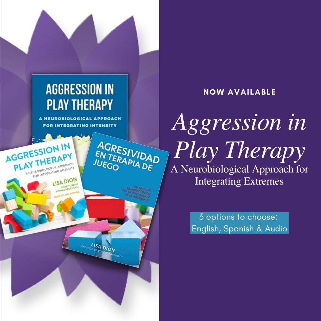 The Book - Synergetic Play Therapy Institute