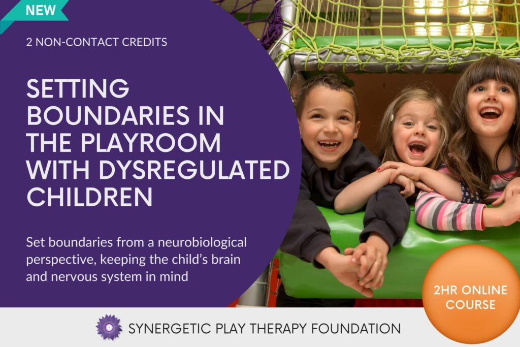 SPT Foundation - Synergetic Play Therapy Institute
