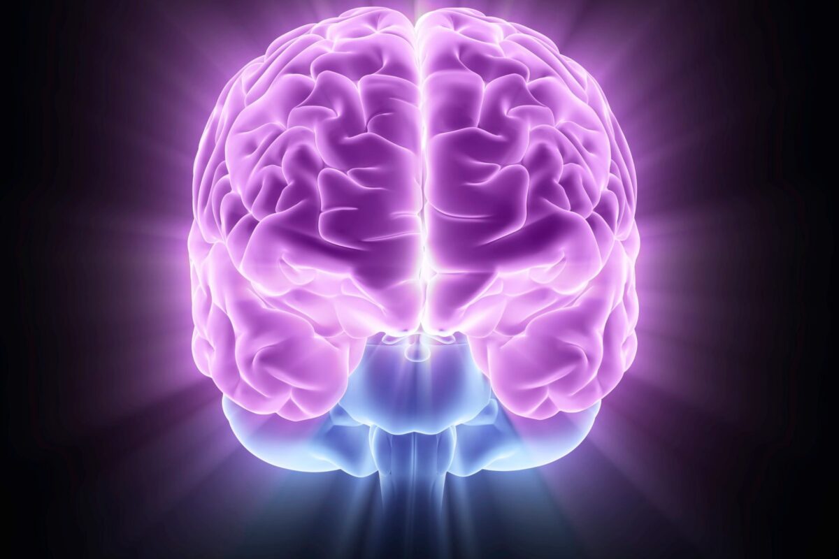 Neuroception of Safety: Not Always What We Think - Synergetic Play ...